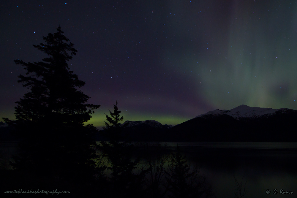 “Faint Lights” – Teklanika Nature Photography