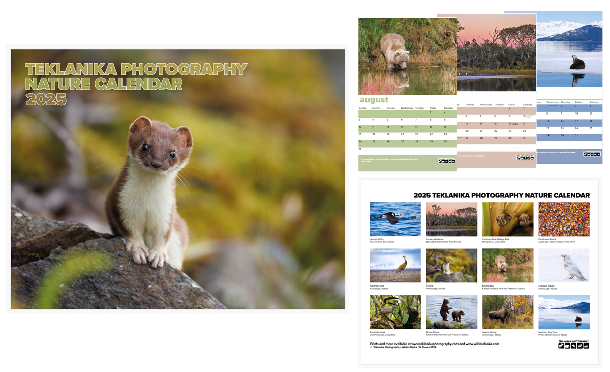 2025 Nature Calendar – Teklanika Nature Photography
